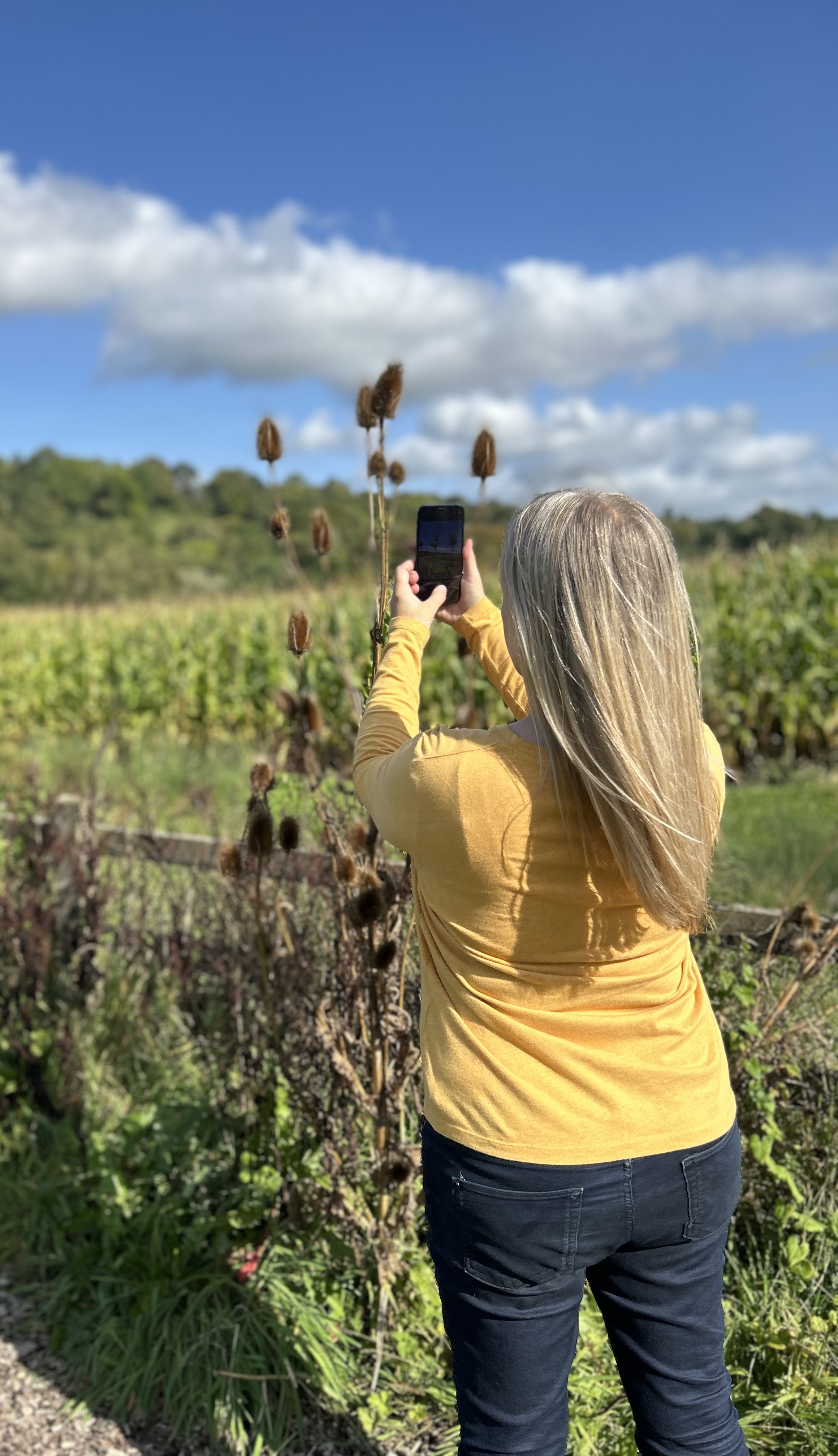 Nicky Kay Designs – Surface Pattern Designer and Fabric Designer